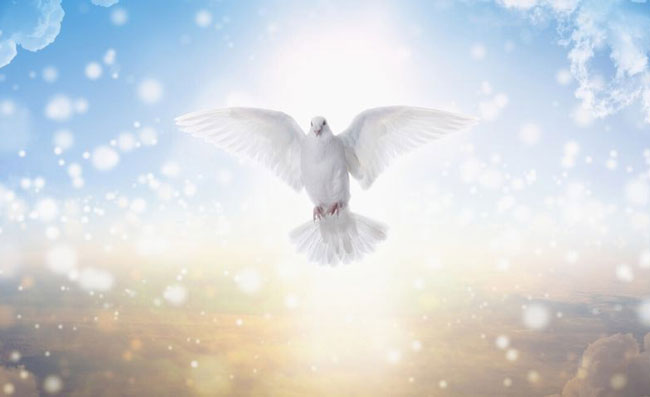 Thơ: Thánh Linh Chúa - Hội Thánh Tin Lành Việt Nam