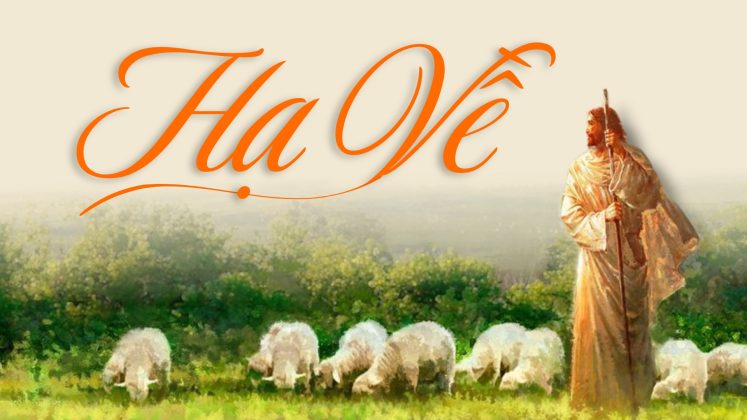 Thơ: HẠ VỀ - Hội Thánh Tin Lành Việt Nam